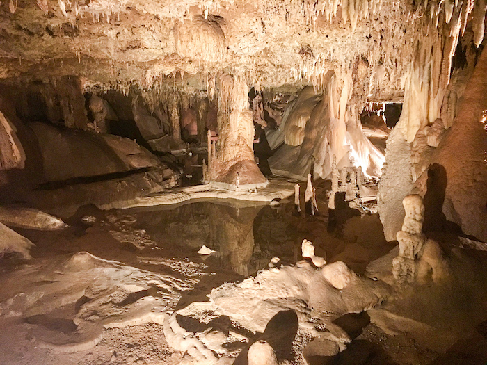 Explore the Magical Side of Austin Top Harry Potter Spots